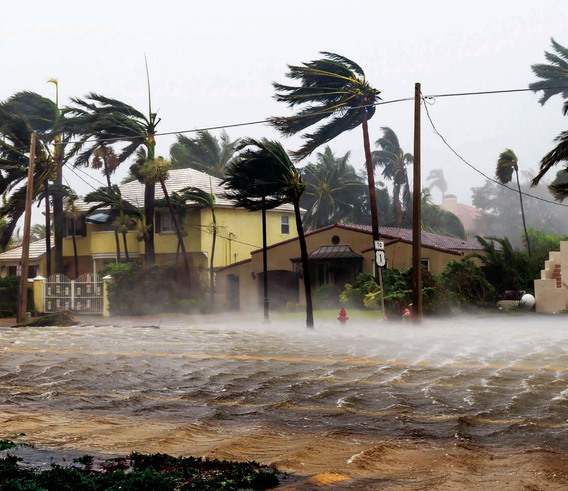 Hurricanes, Floods, Forest Fires, Quakes, and the Unanticipated ...